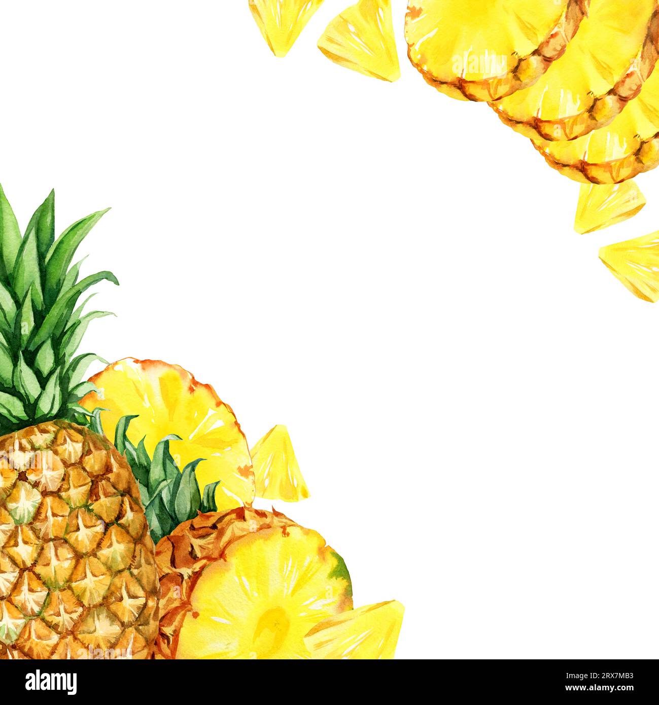 watercolor hand drawn square frame with illustration of pineapple with ...