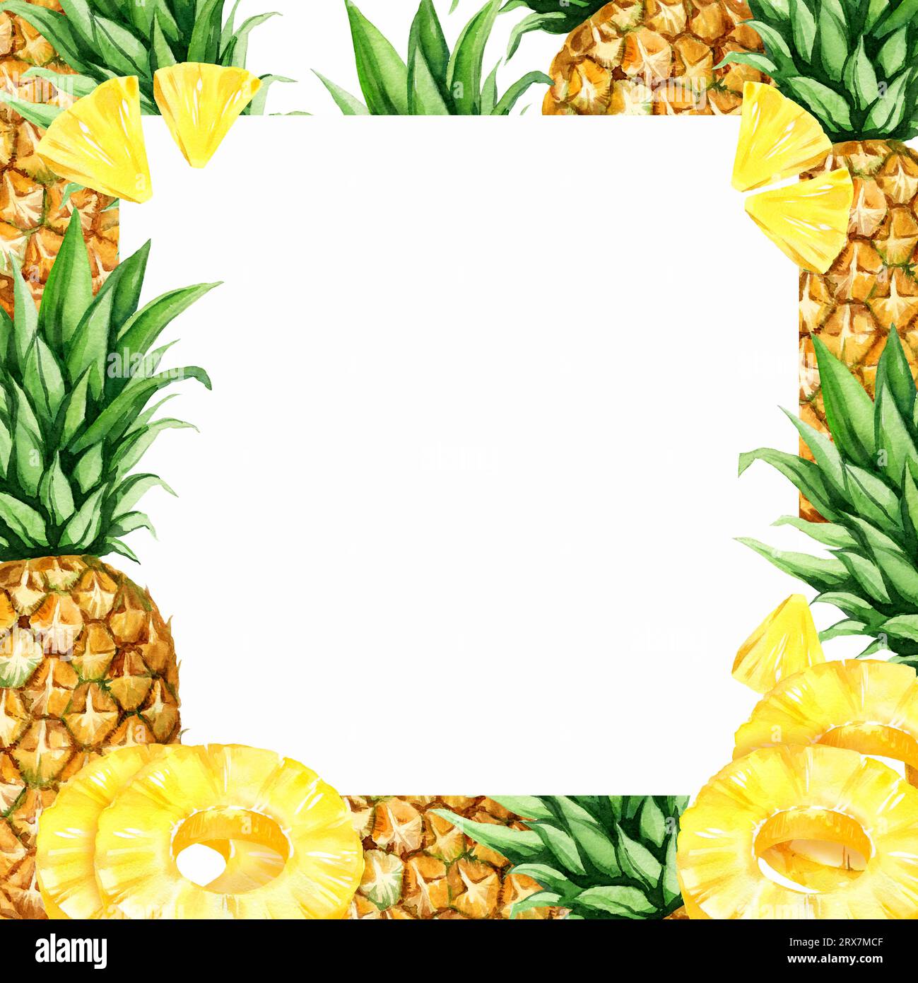watercolor hand drawn square frame with illustration of pineapple with ...