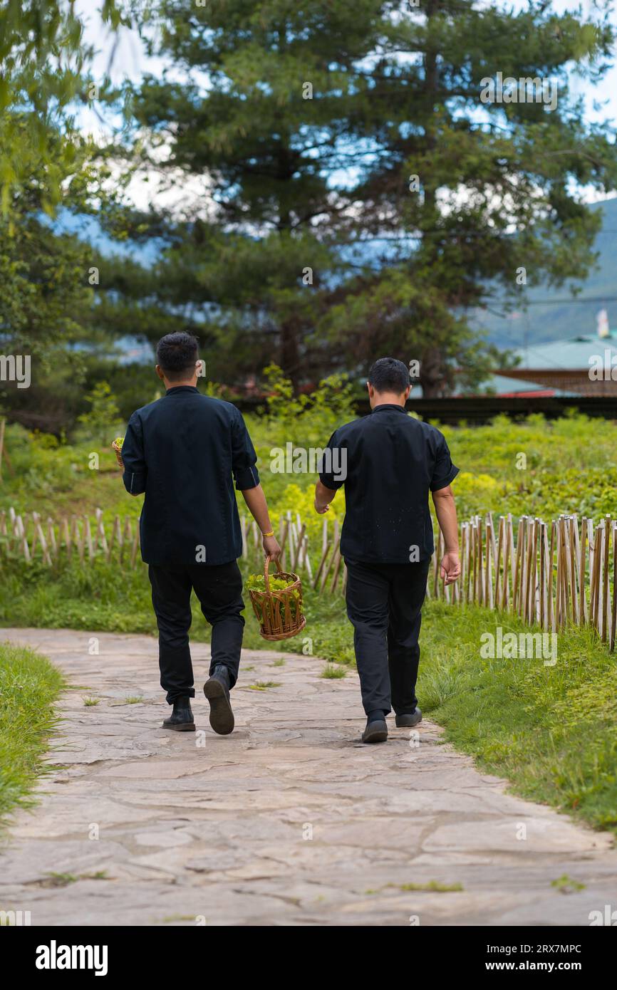 Men in black from the back Stock Photo - Alamy