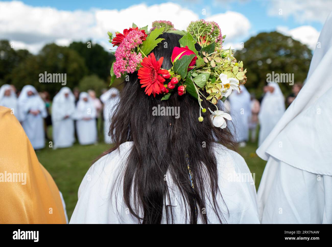 British order of druids hi-res stock photography and images - Alamy
