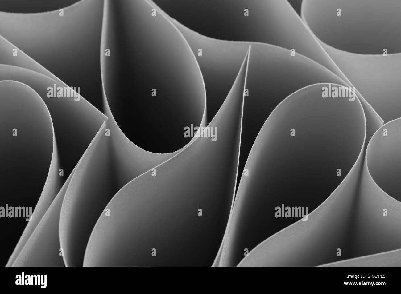 Abstract, grey paper background with smooth lines Stock Photo - Alamy