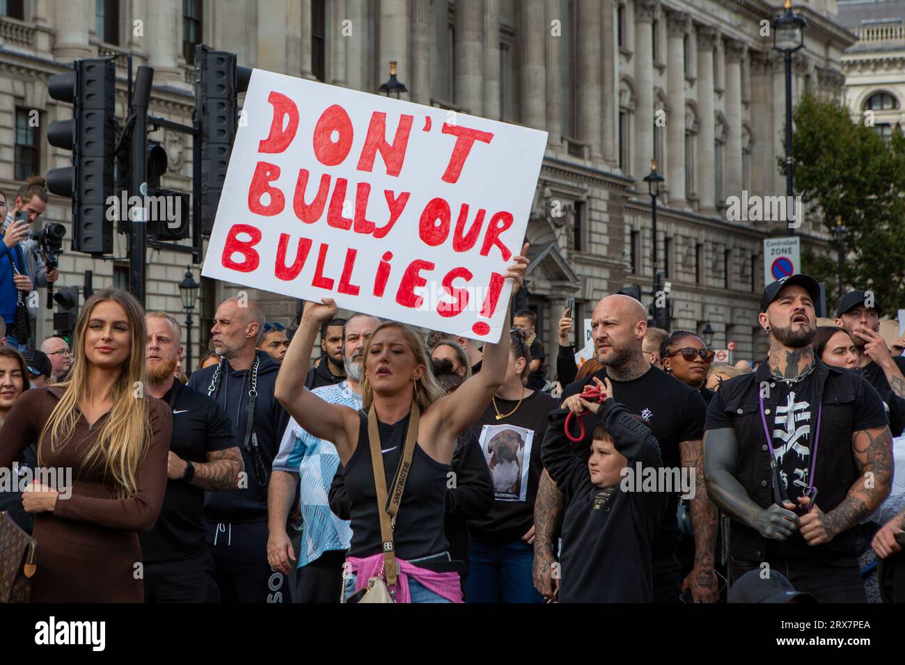 Xl bully ban hi-res stock photography and images - Alamy