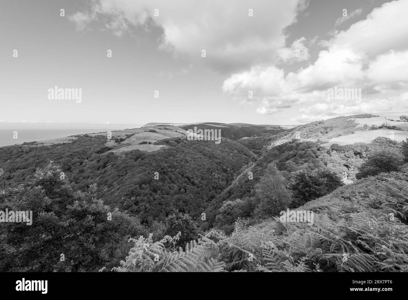 Landscape photo of Countisbury Hill and Watersmeet Valley in Exmmor ...
