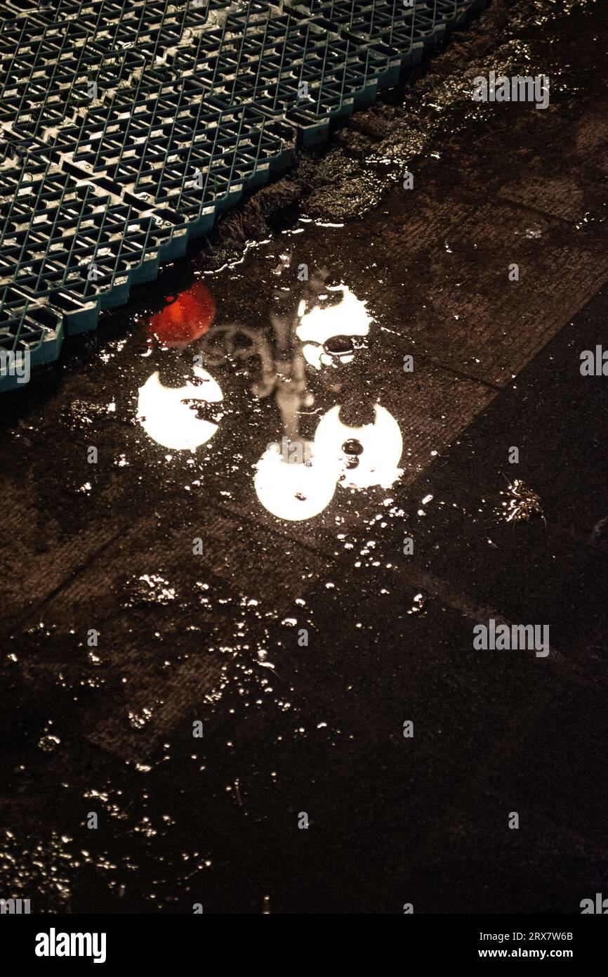 Lamp's light reflection on a puddle Stock Photo - Alamy