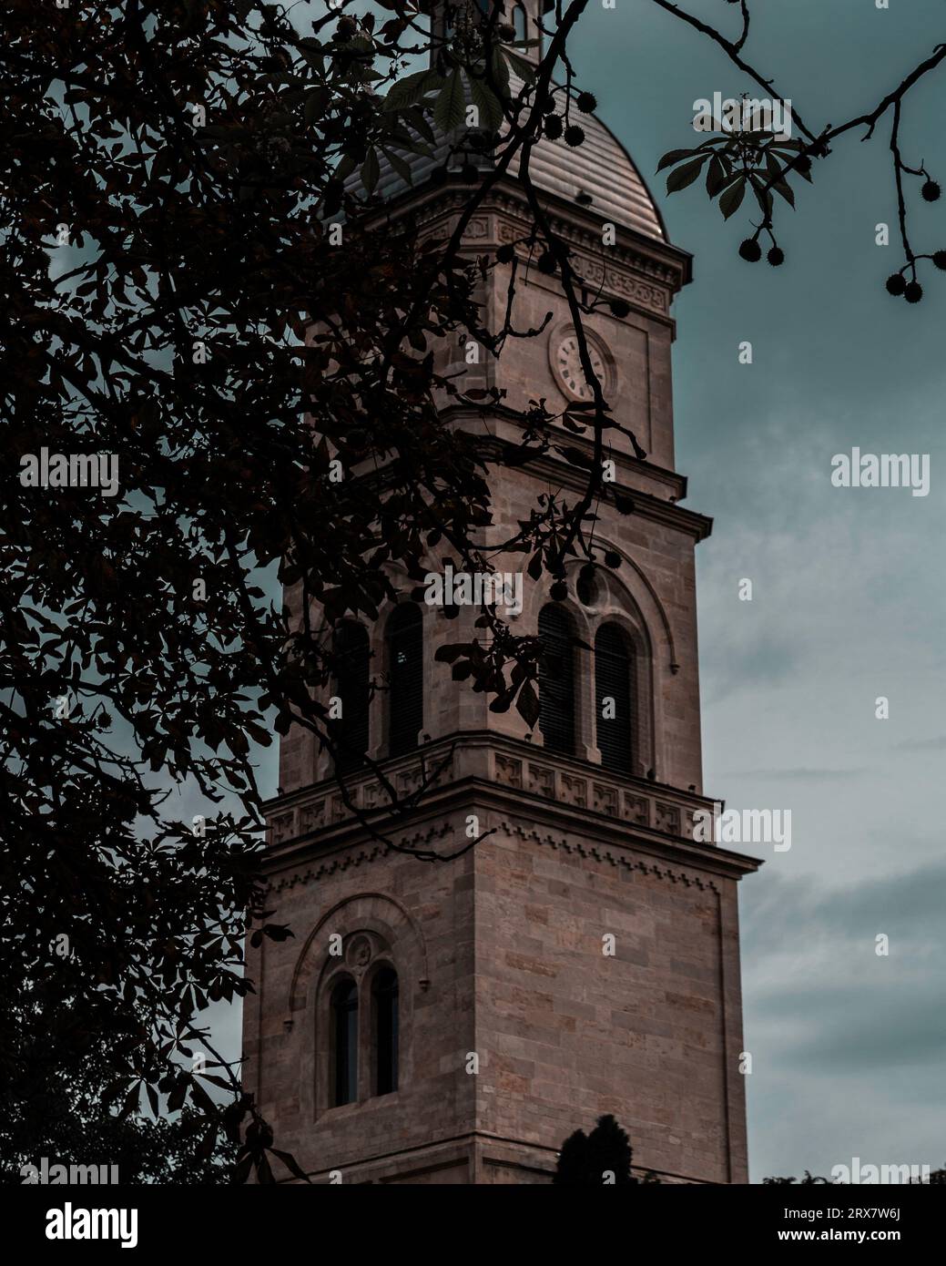 Watchtower overshadowed by a tree Stock Photo - Alamy