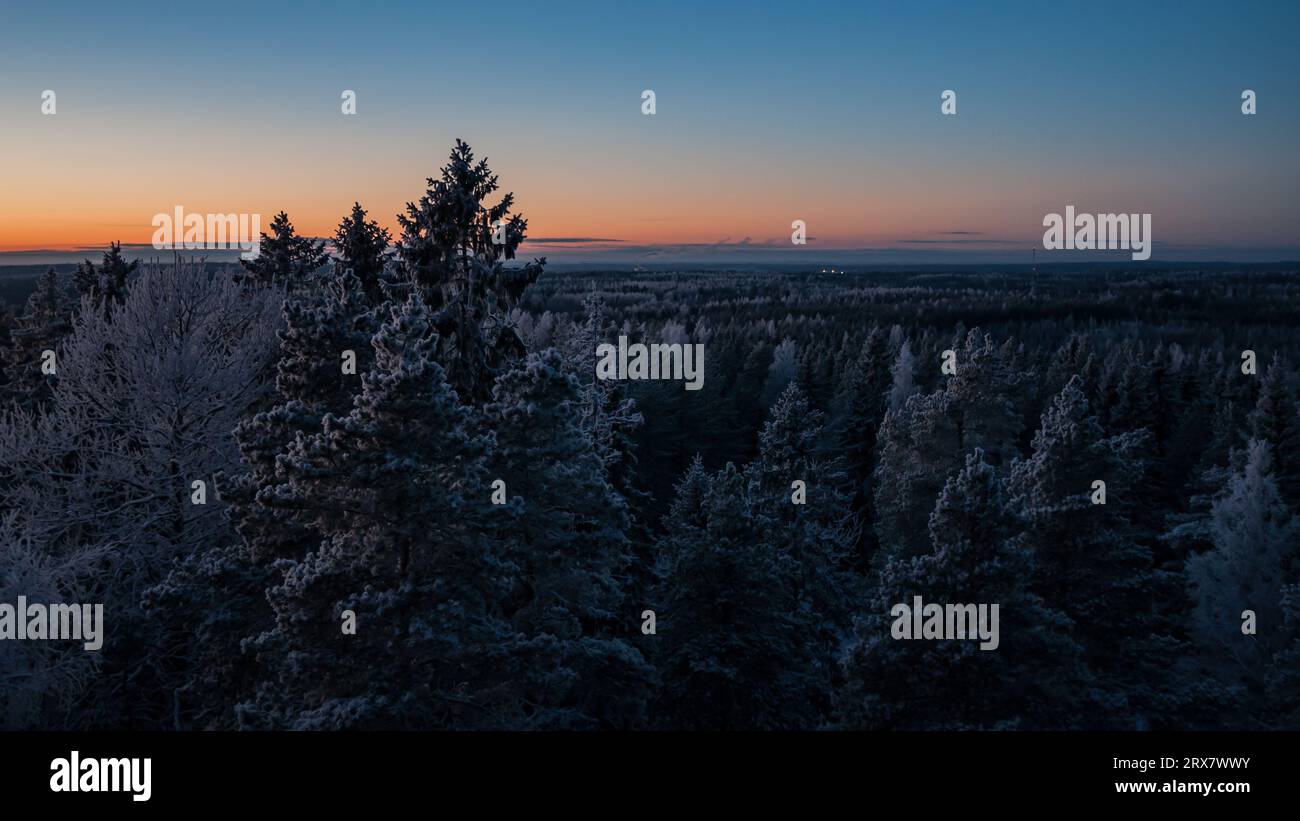 Frosty winter landscape of forests seen from tree-top level in ...