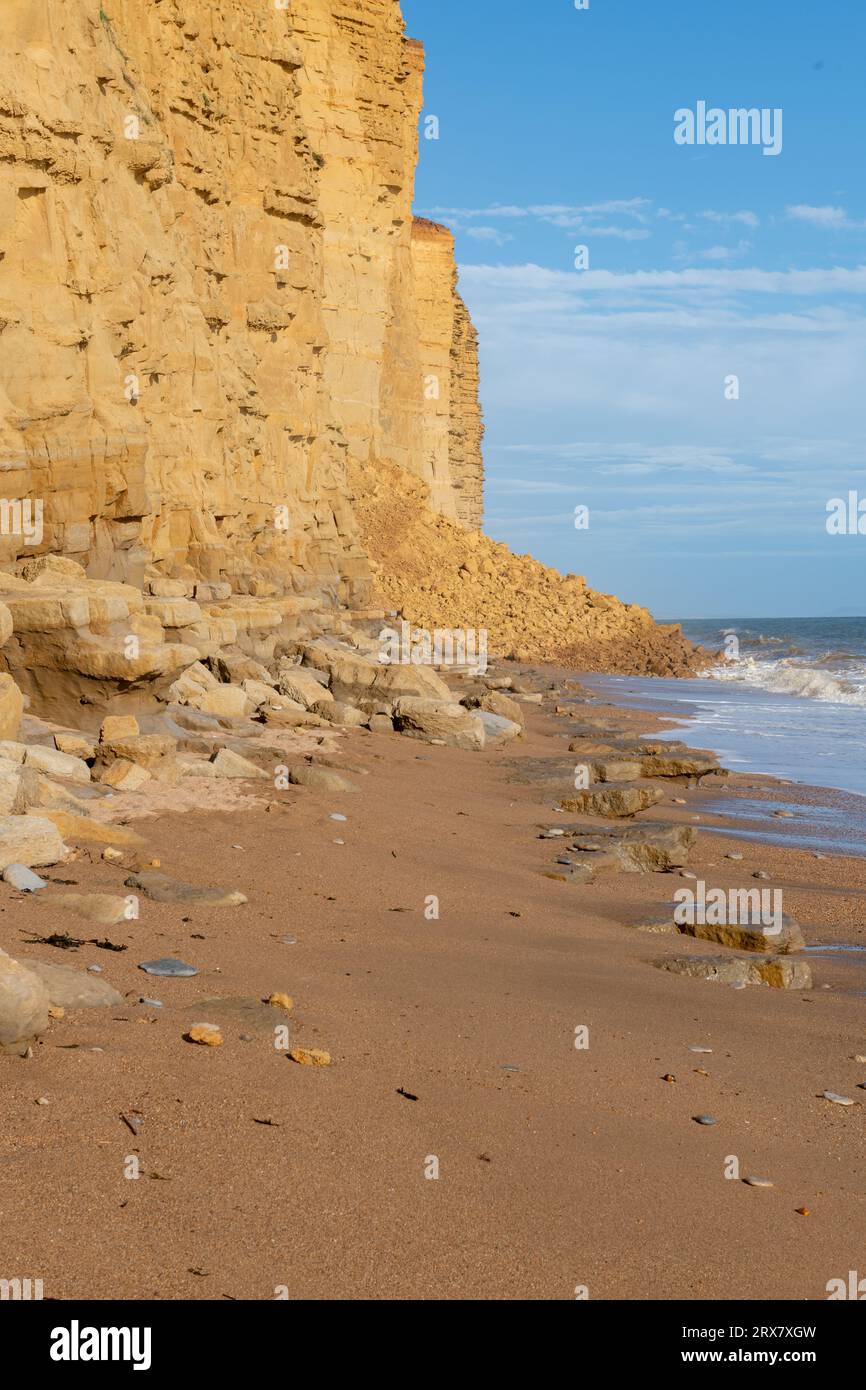 The landslide from August 2023 on the East cliff at West Bay on the ...