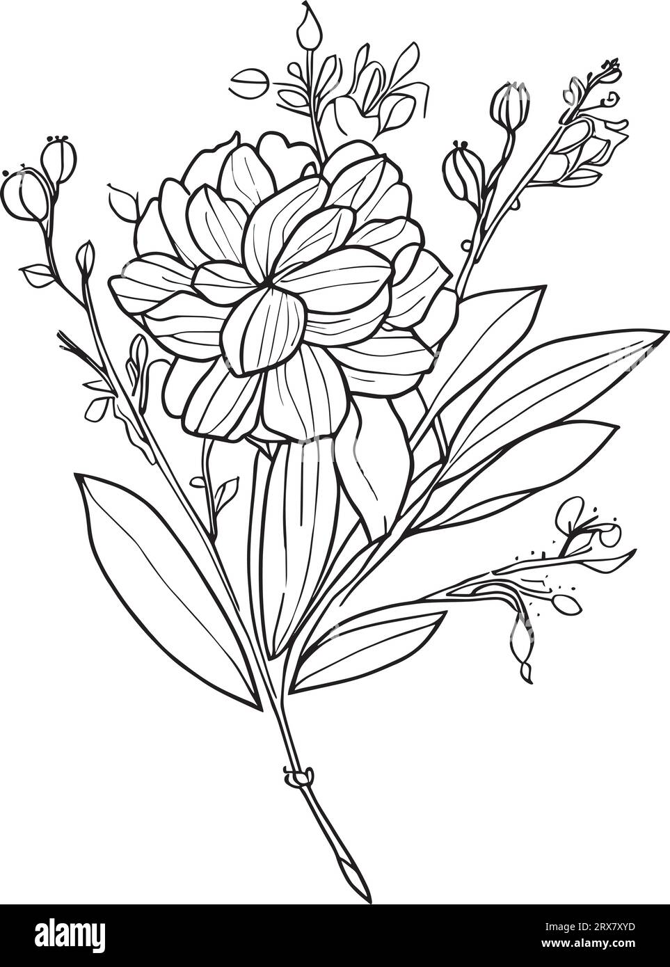 linework botanical tattoos, delicate botanical tattoos, blackwork ...