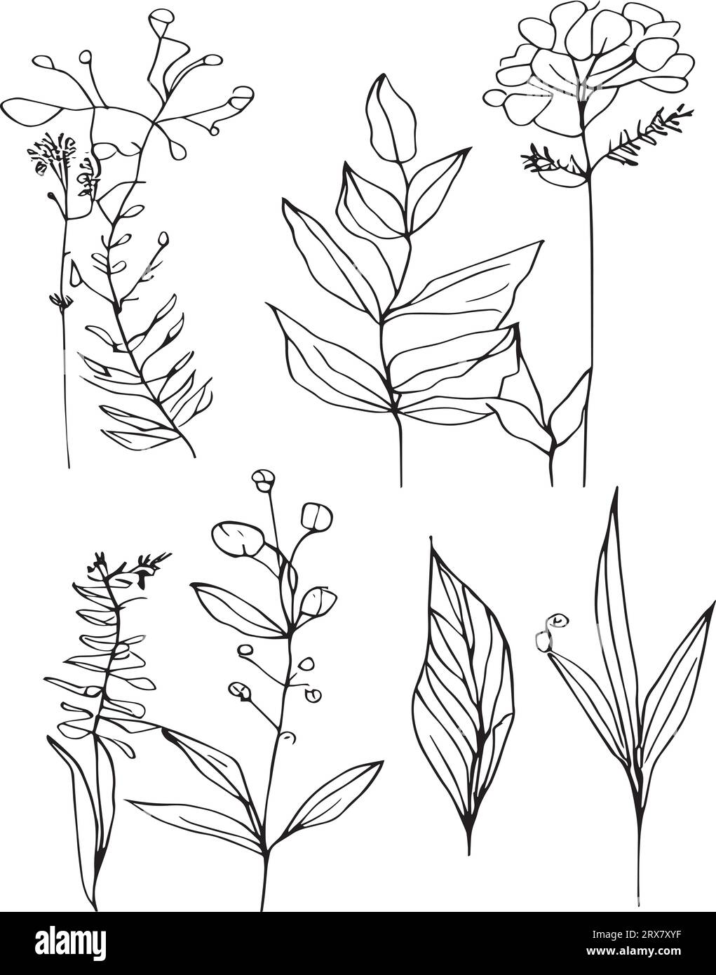 blackwork botanical tattoos, wildflower botanical tattoos, wildflower ...