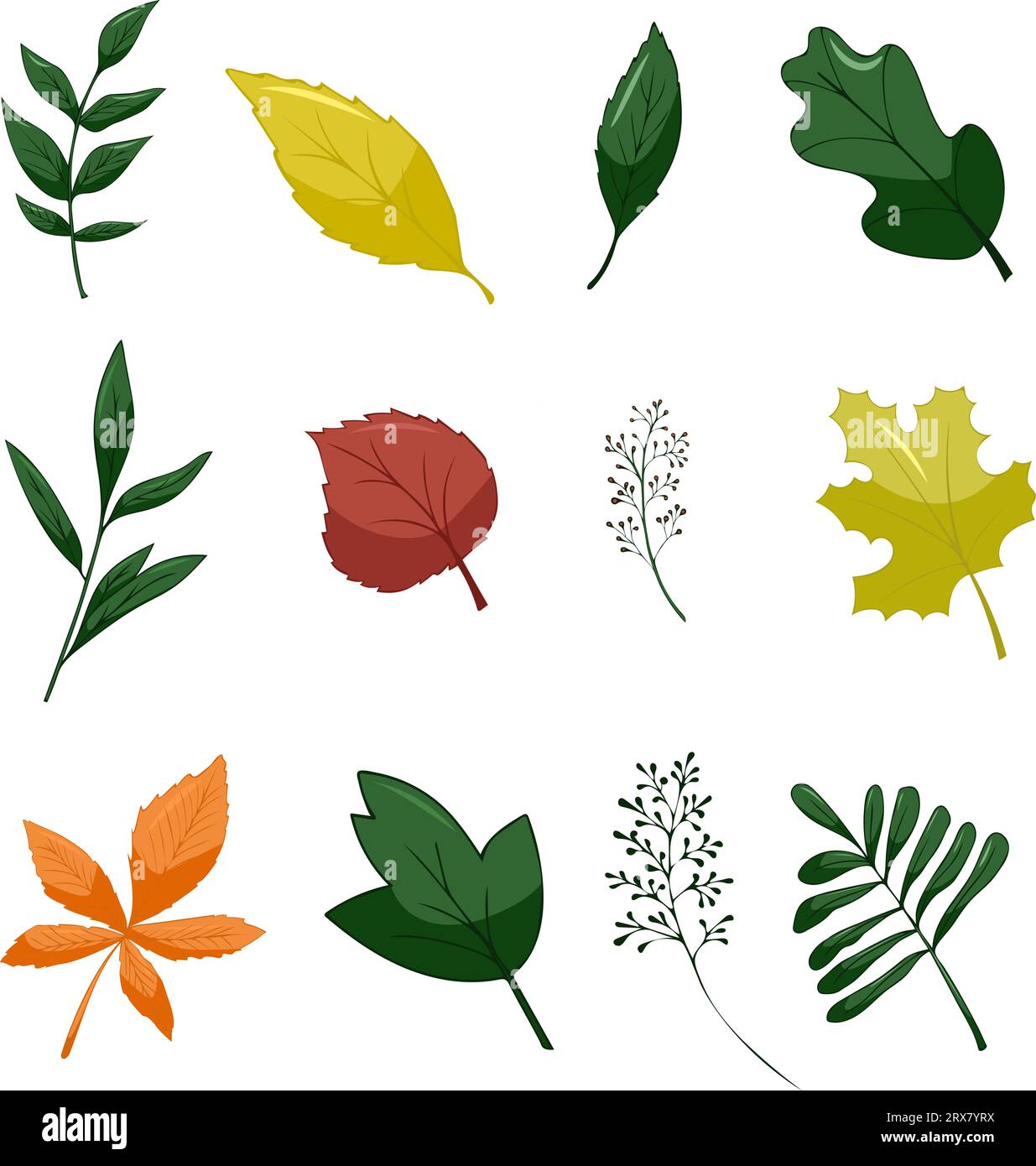 Set of leaves elements. Collection botanical vector isolated on white ...