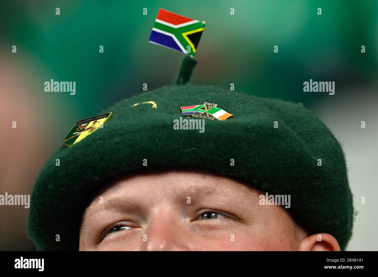 Springbok rugby world cup 2023 hi-res stock photography and images - Alamy