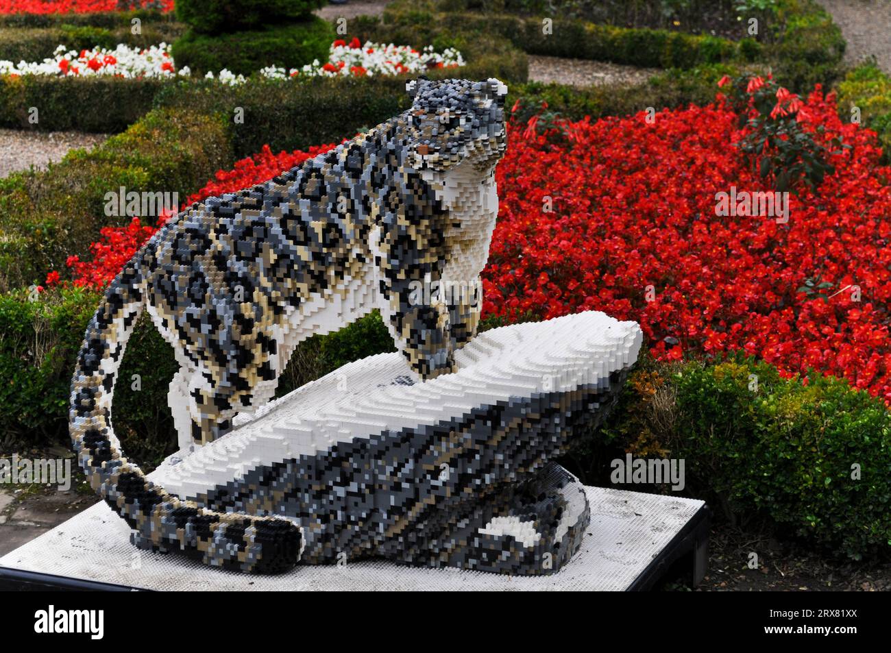 Lego snow leopard hi-res stock photography and images - Alamy