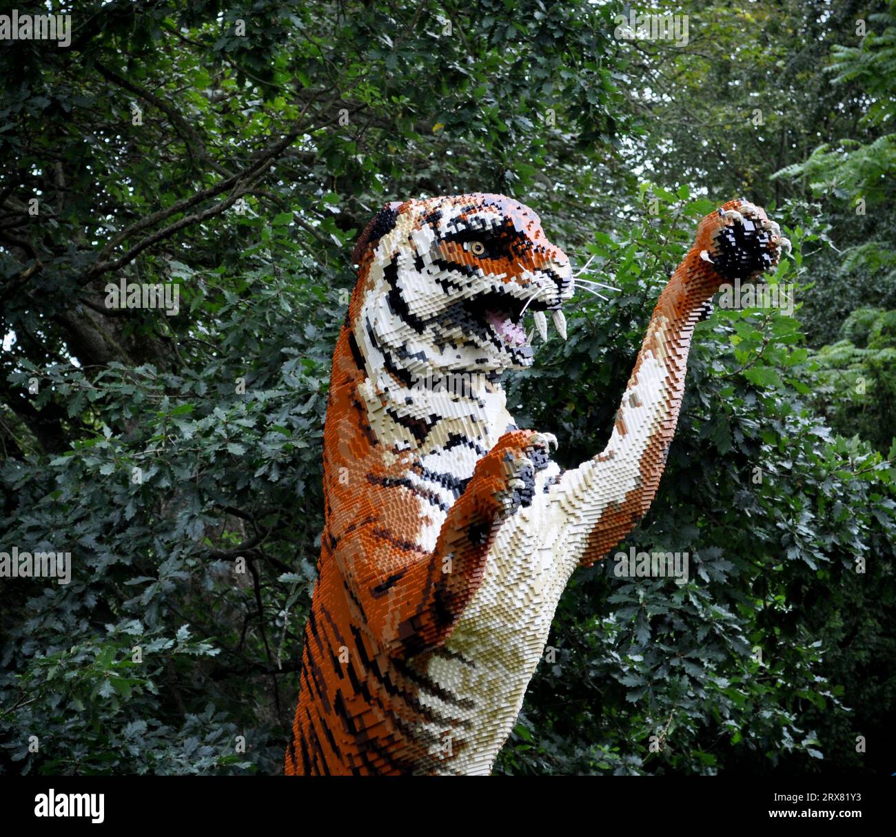 Lego bricks tiger hi-res stock photography and images - Alamy