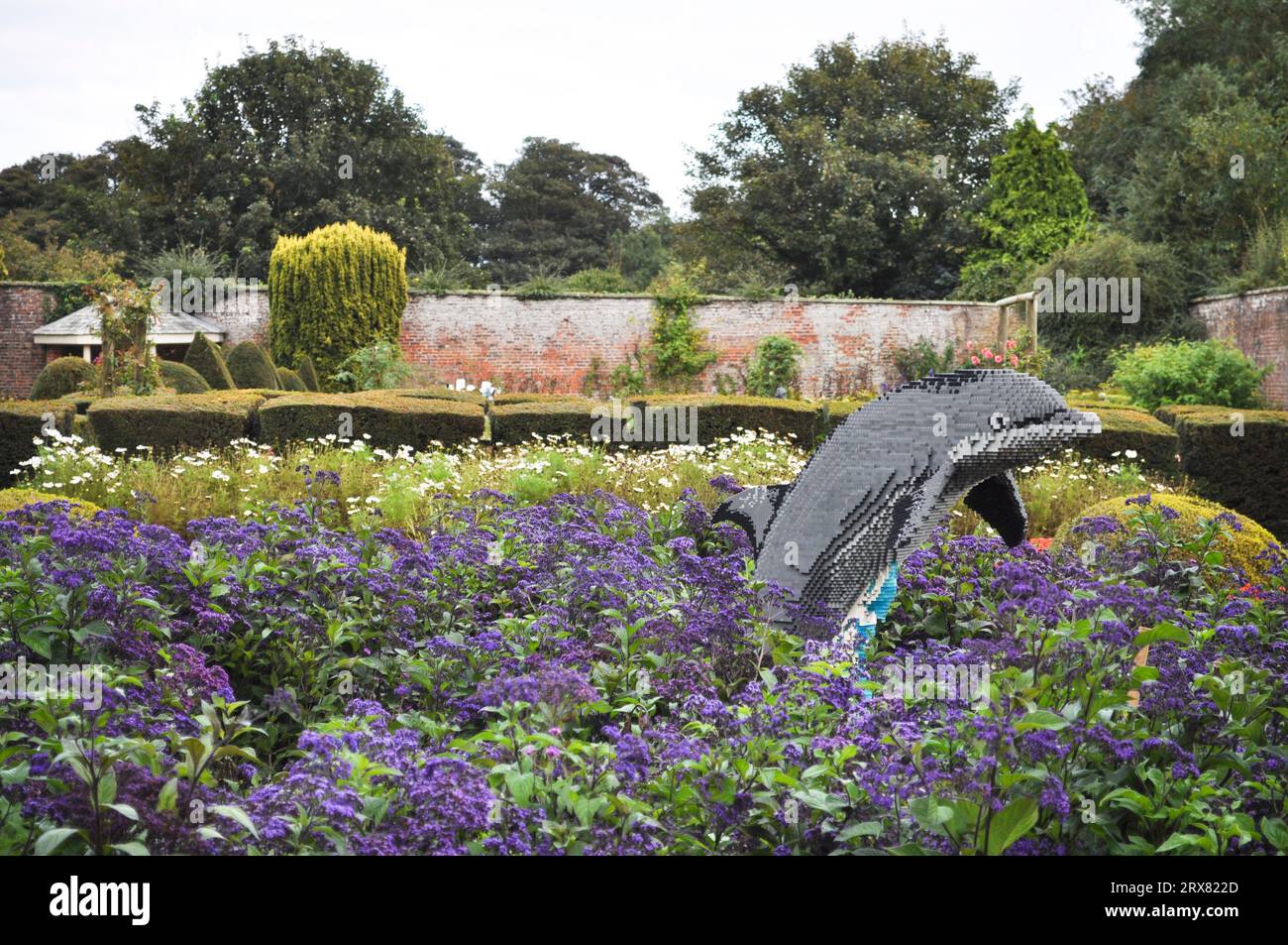 Lego brick dolphin hi-res stock photography and images - Alamy