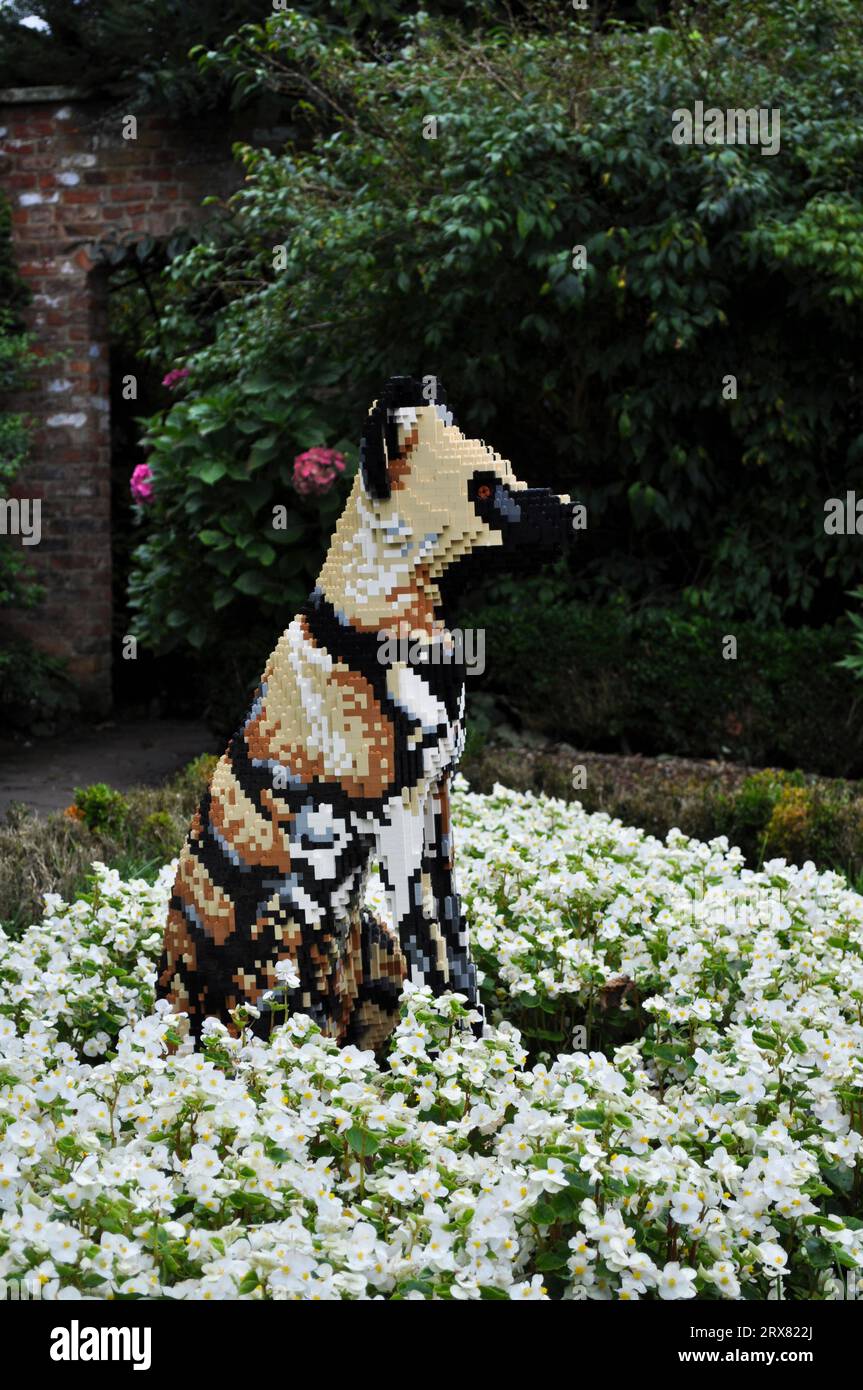 Lego dog hi-res stock photography and images - Alamy