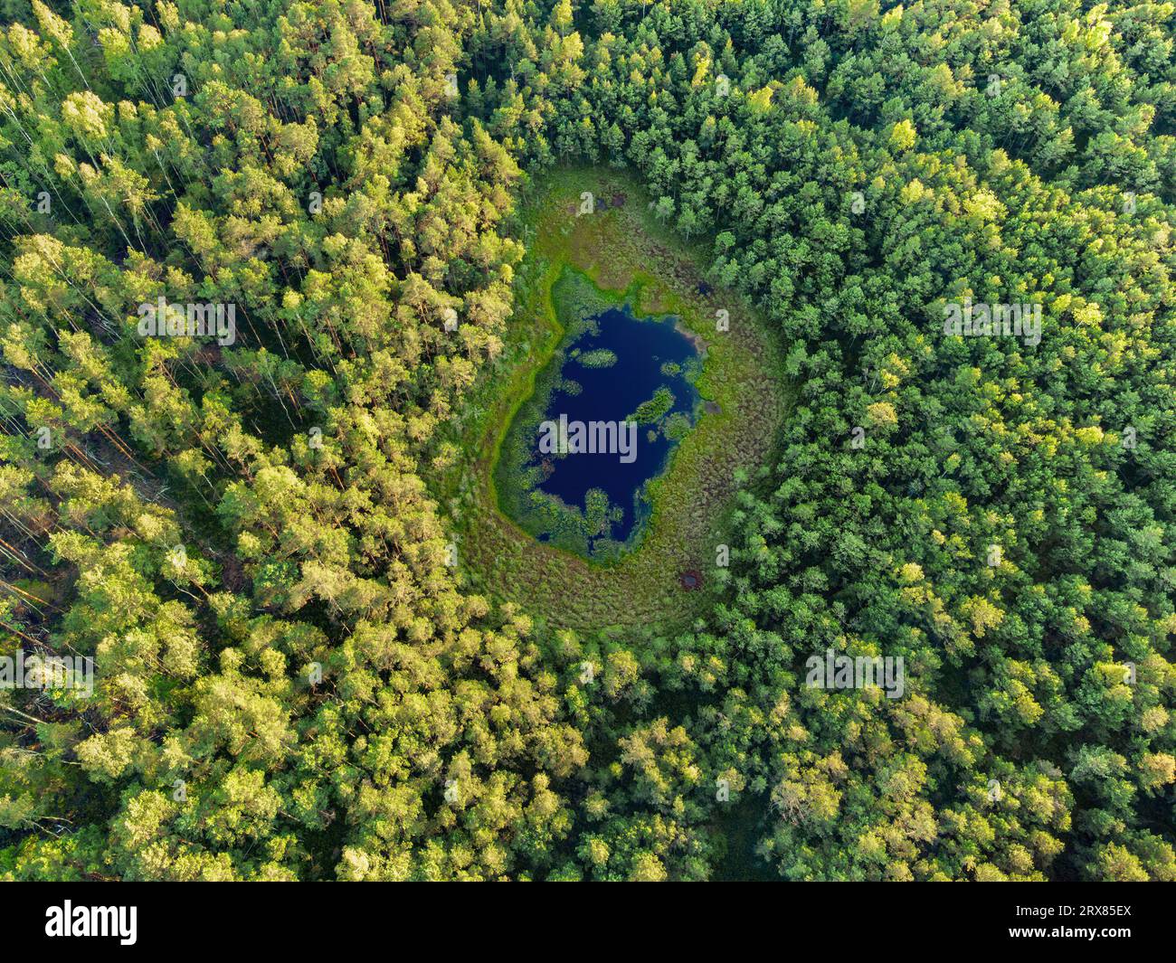 Aerial view of a lake in the forests of Lithuania, wild nature. A lake ...