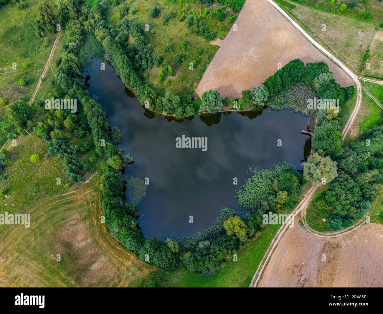 Aerial view of a lake in the forests of Lithuania, wild nature. The ...
