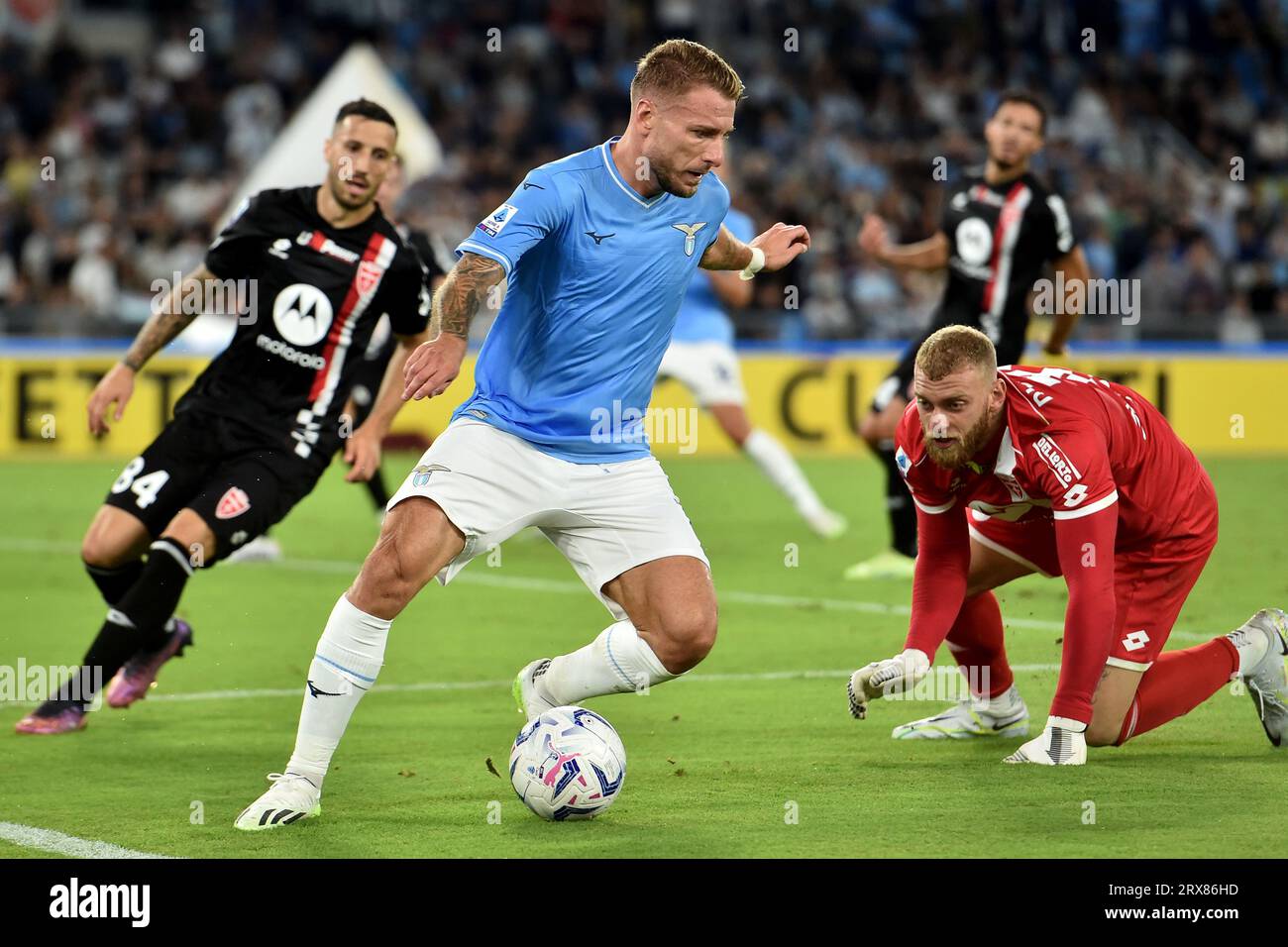 Rome, Italy. 23rd Sep, 2023. Ciro Immobile of SS Lazio and Michele Di ...