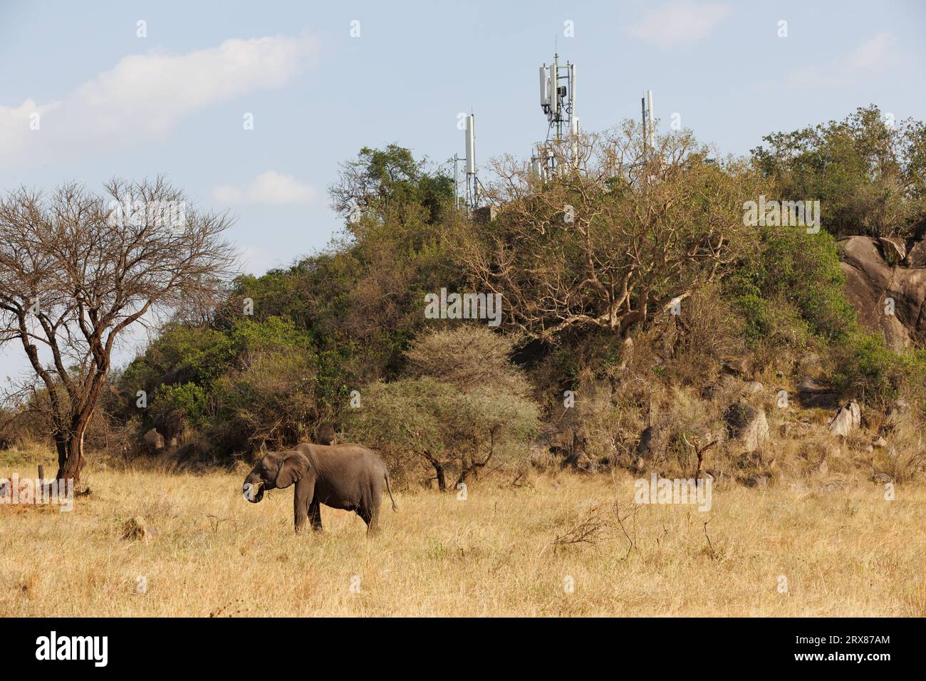 Cell phone towers in africa hi-res stock photography and images - Alamy