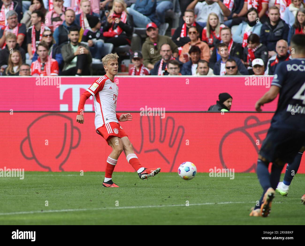 Frans kratzig hi-res stock photography and images - Alamy