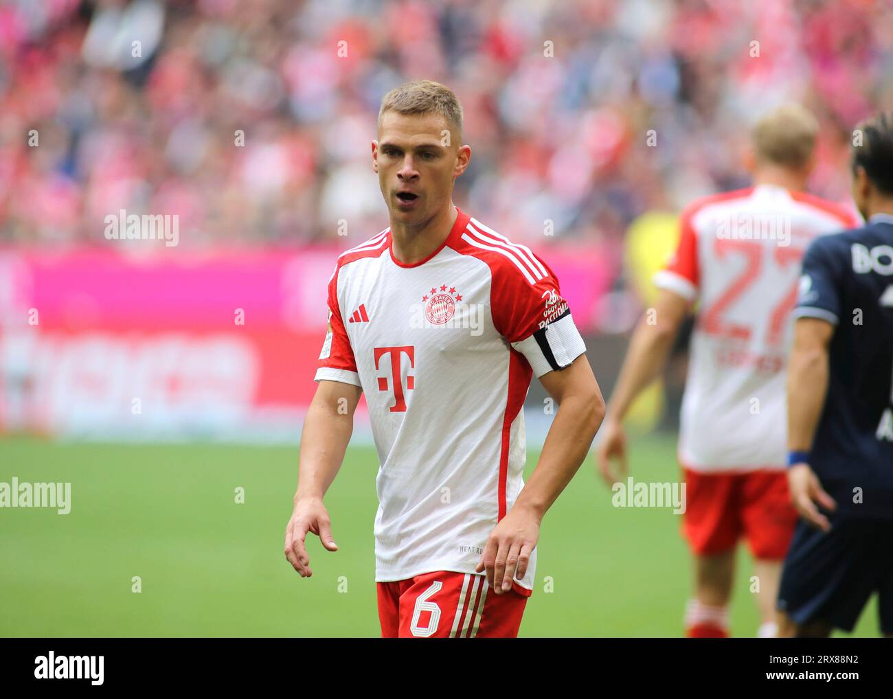 München, Deutschland 23. September 2023: Fussball, Herren, Bundesliga ...