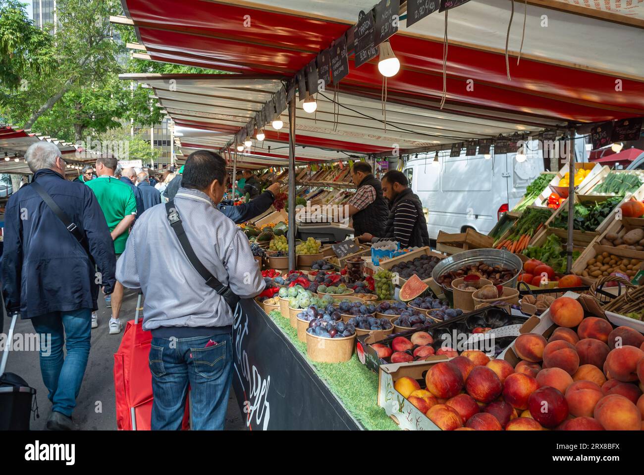 Fruits de prunes hi-res stock photography and images - Alamy
