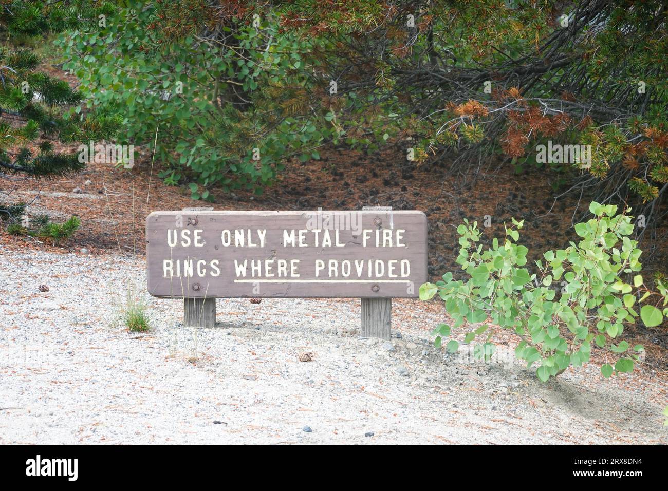 Campers warning sign in the Sierra Nevada mountains California. Telling ...