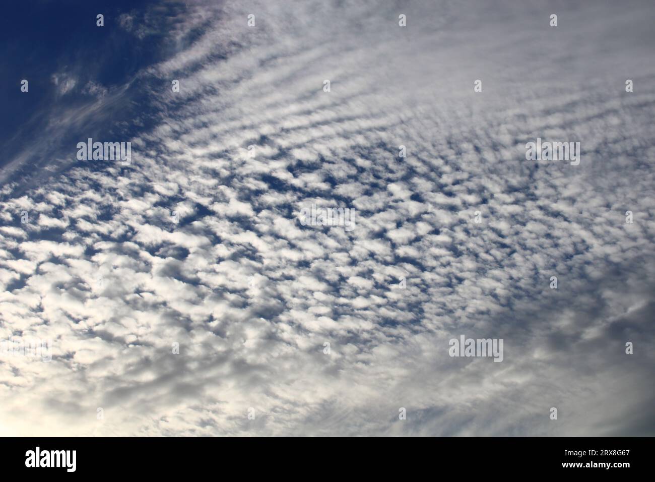 Cirrocumulus are formed by the deformation of Cirrus or Cirrostratus clouds or by the shrinkage ...