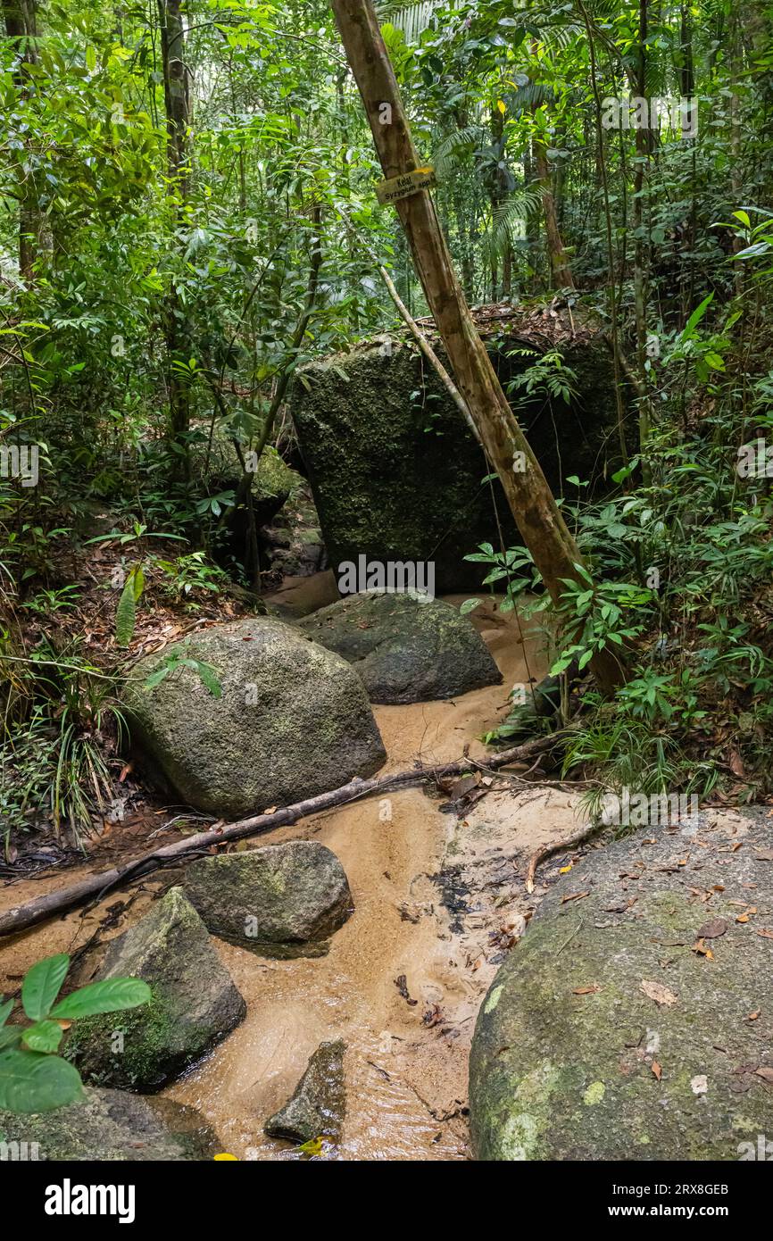 The Bukit Batu Itam Trail at Taman Negara Pulau Pinang, Malaysia Stock ...