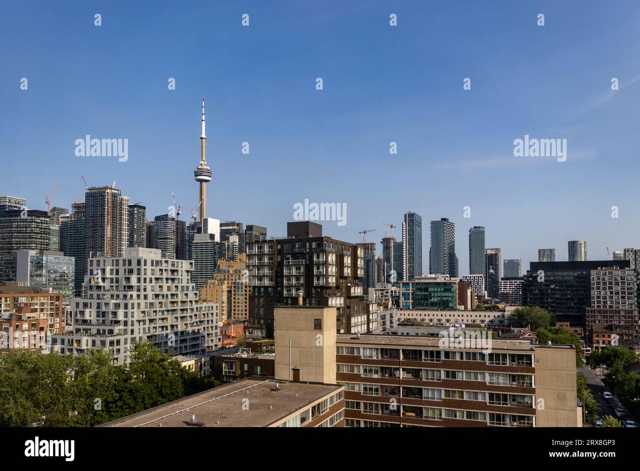 A city skyline with a clear blue sky - CN Tower and high-rise buildings ...