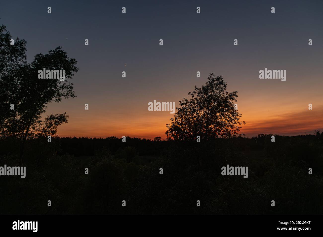Sunset over forest - orange and red sky with dark trees and two stars ...