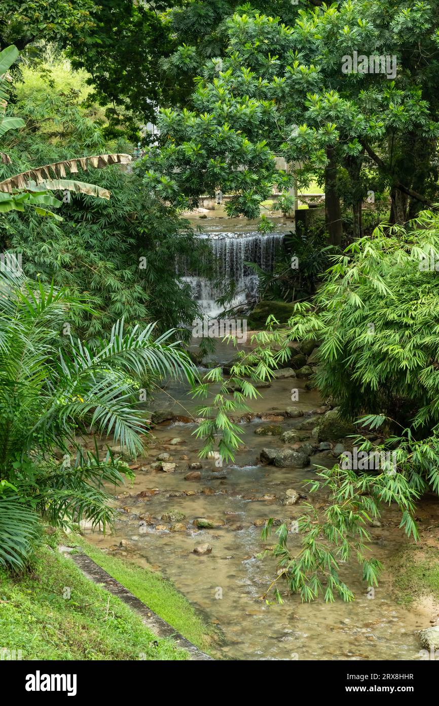 The Penang Botanic Gardens, Pulau Pinang, Malaysia Stock Photo - Alamy