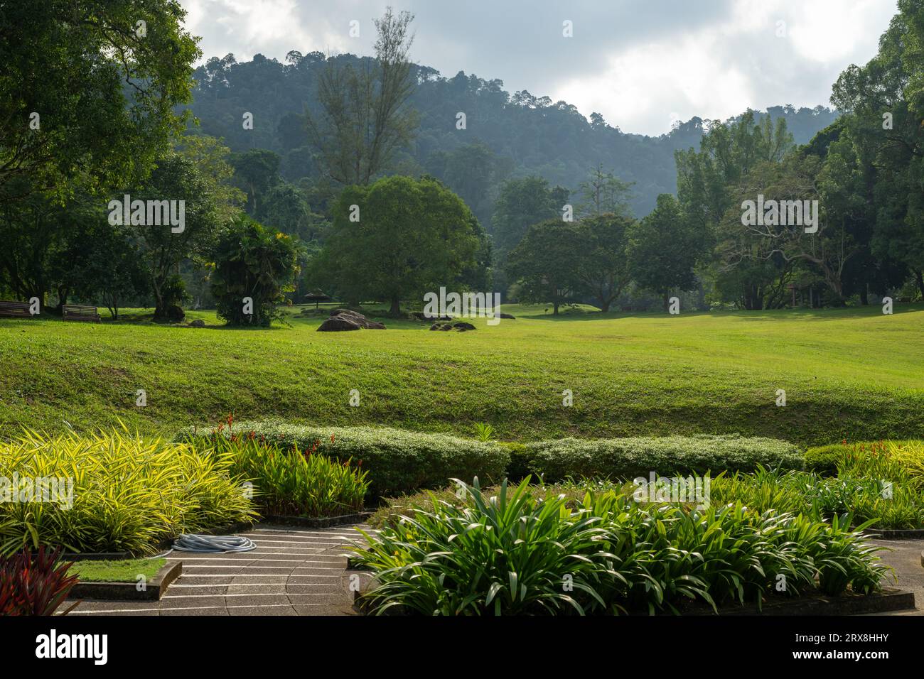 The Penang Botanic Gardens, Pulau Pinang, Malaysia Stock Photo - Alamy