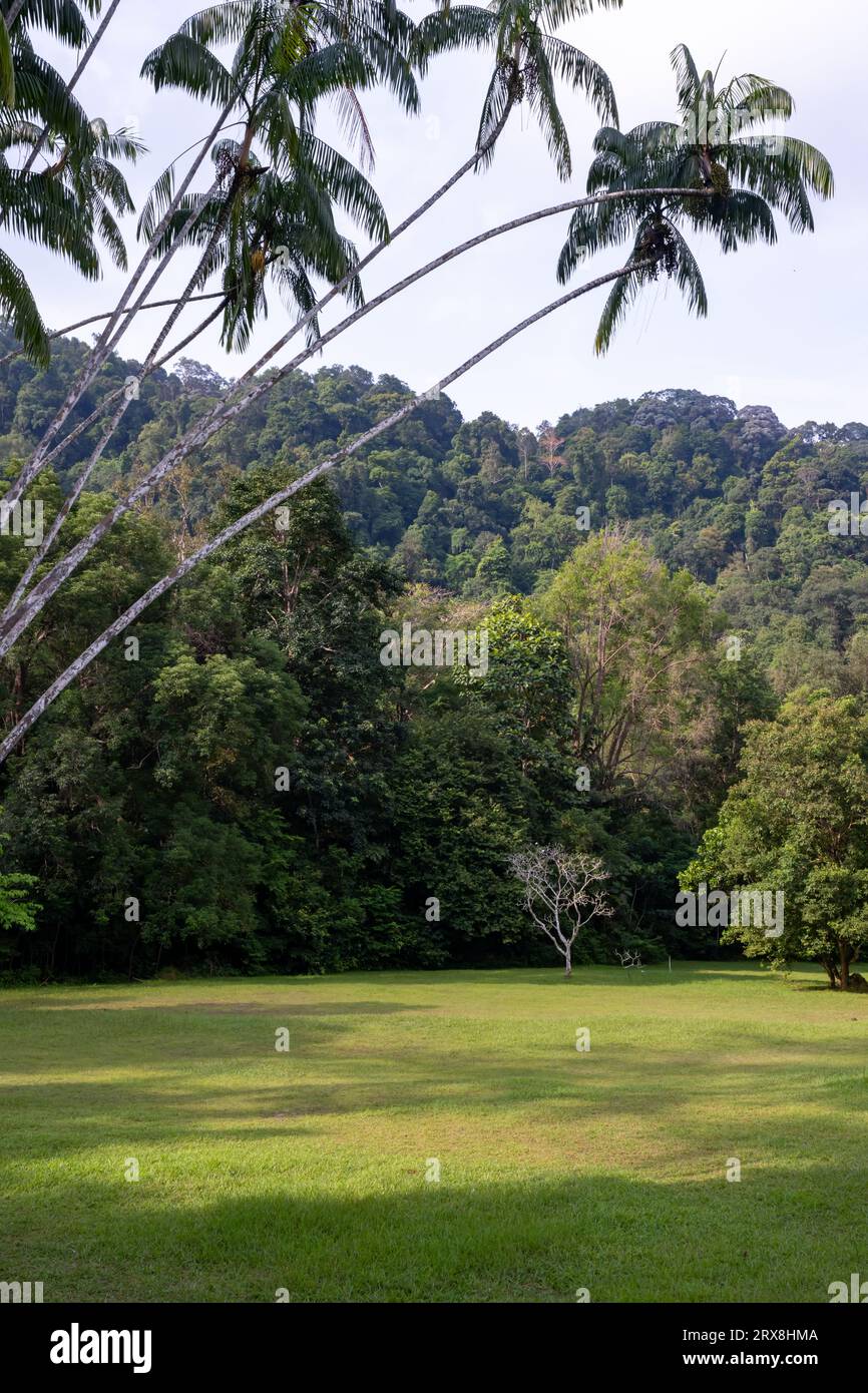 The Penang Botanic Gardens, Pulau Pinang, Malaysia Stock Photo - Alamy