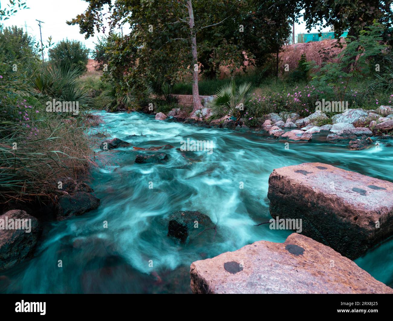 Oasis pathway hi-res stock photography and images - Alamy