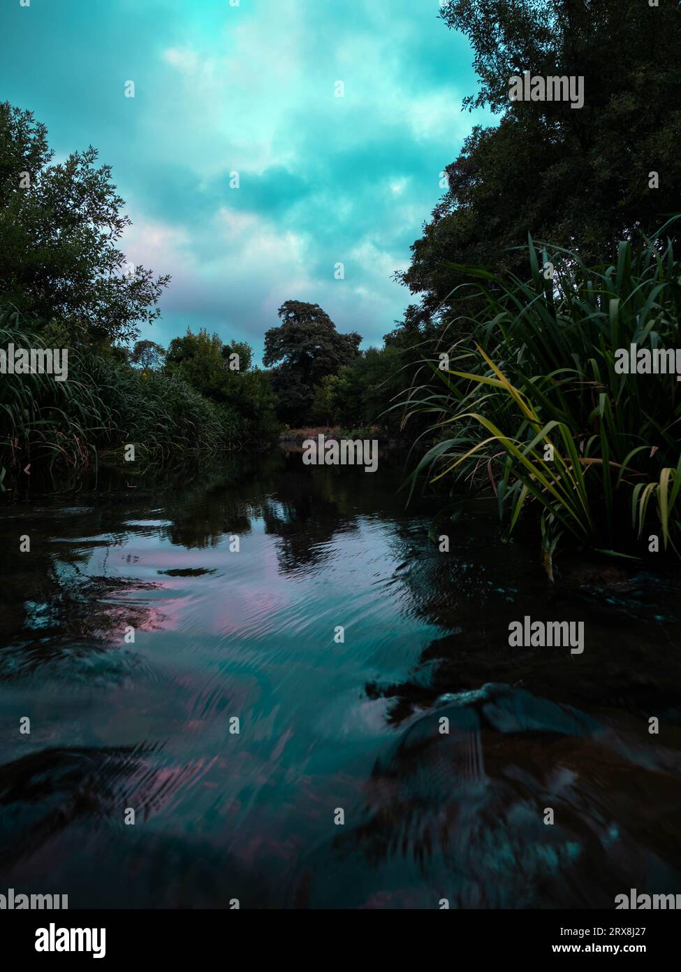 City lights in river hi-res stock photography and images - Alamy