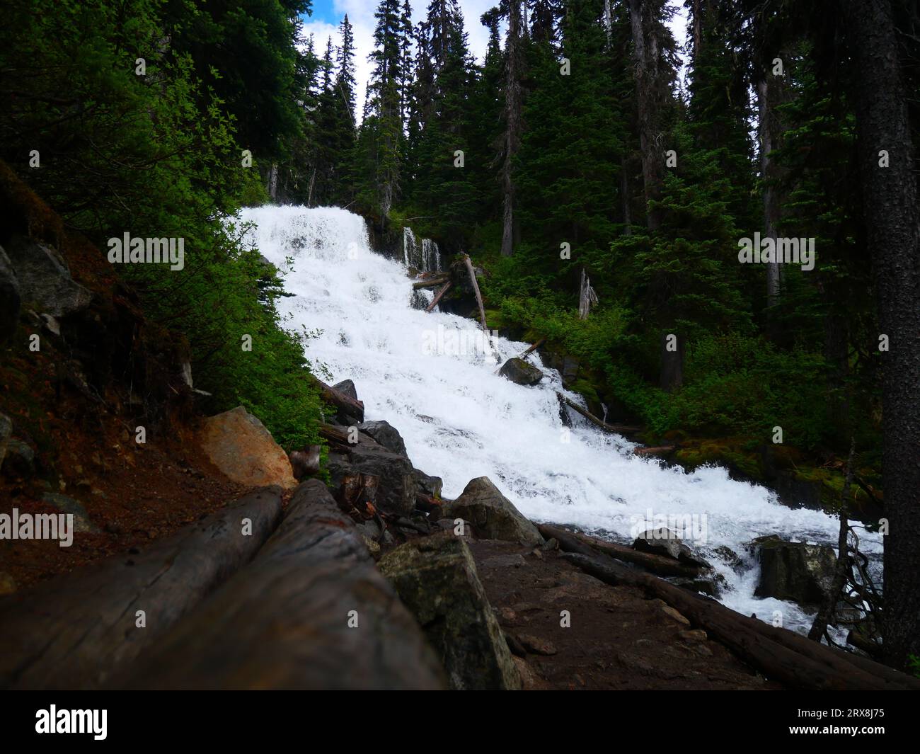 Forrest forrest forrest forrest river hi-res stock photography and ...