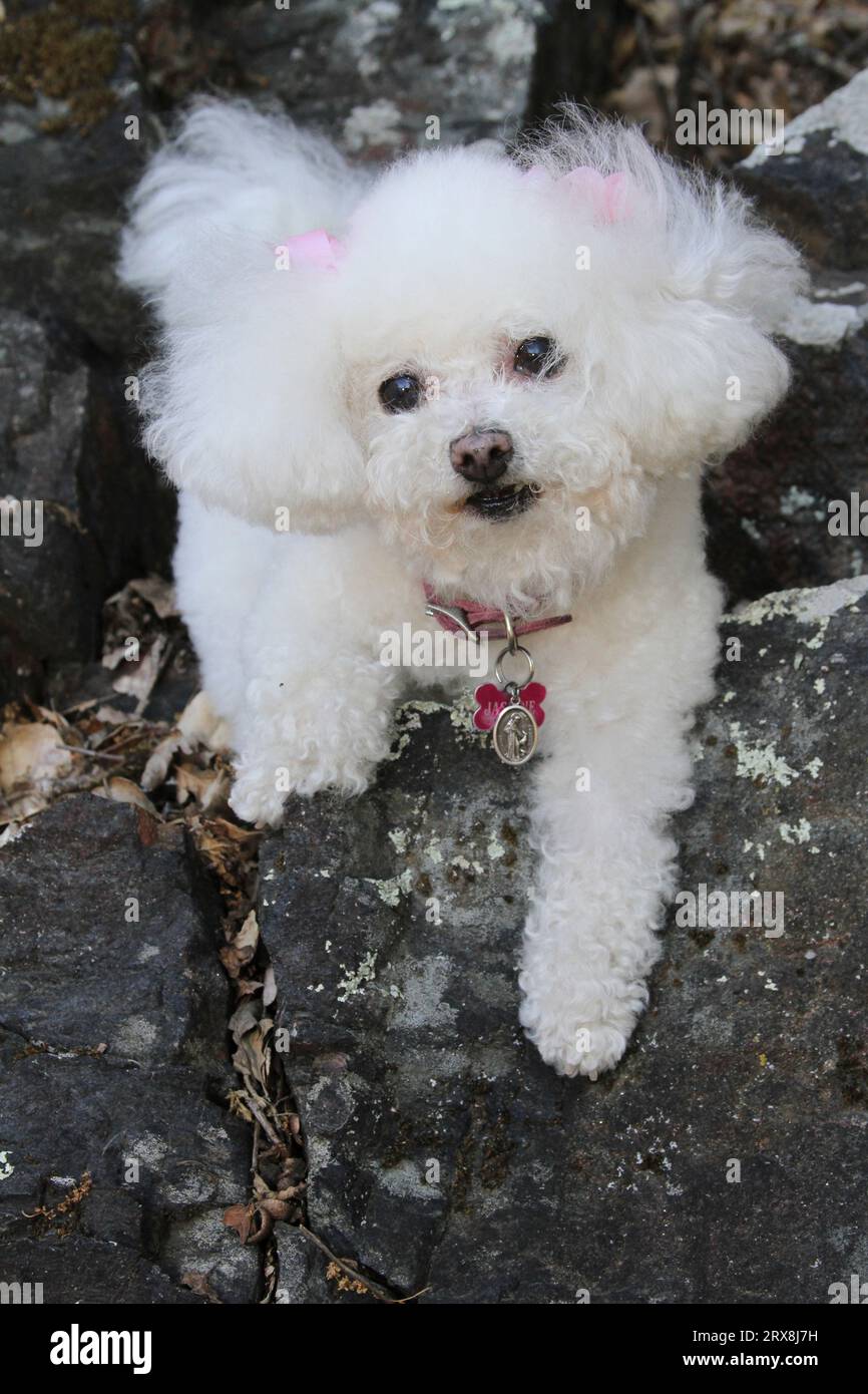 Non cropping hi-res stock photography and images - Alamy