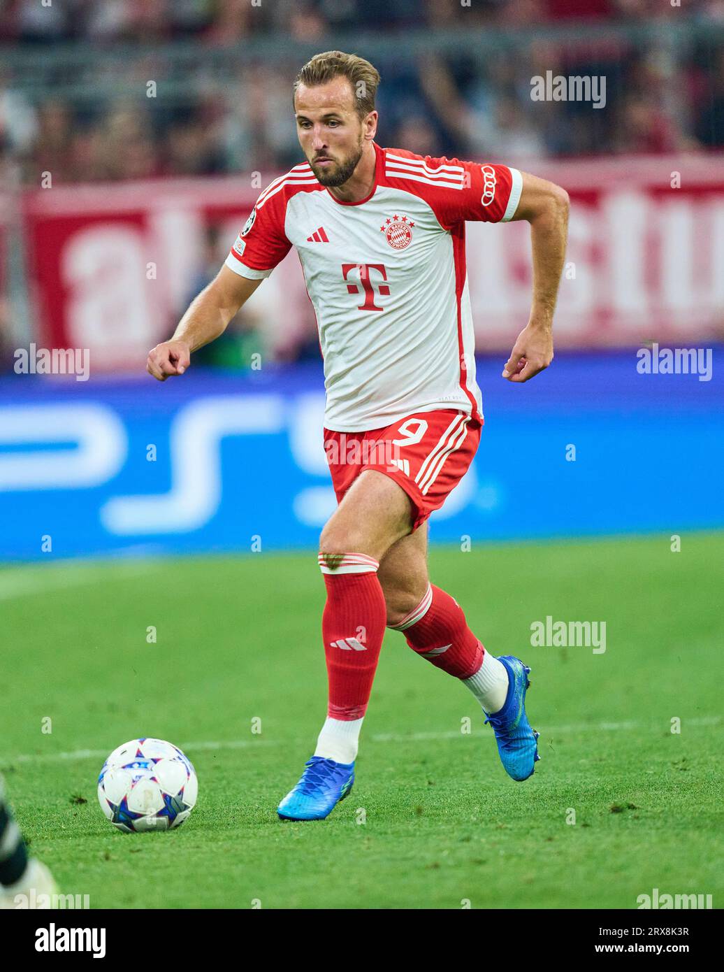 Harry Kane, FCB 9 in the group stage match FC BAYERN MUENCHEN ...