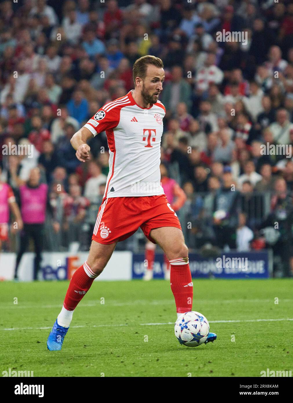 Harry Kane, FCB 9 in the group stage match FC BAYERN MUENCHEN ...