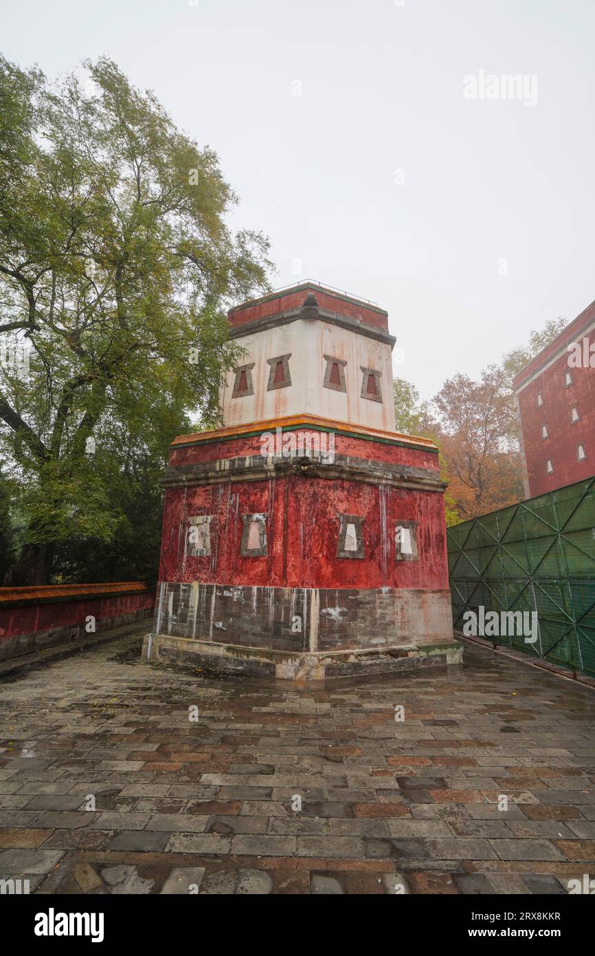 11 spots hi-res stock photography and images - Alamy