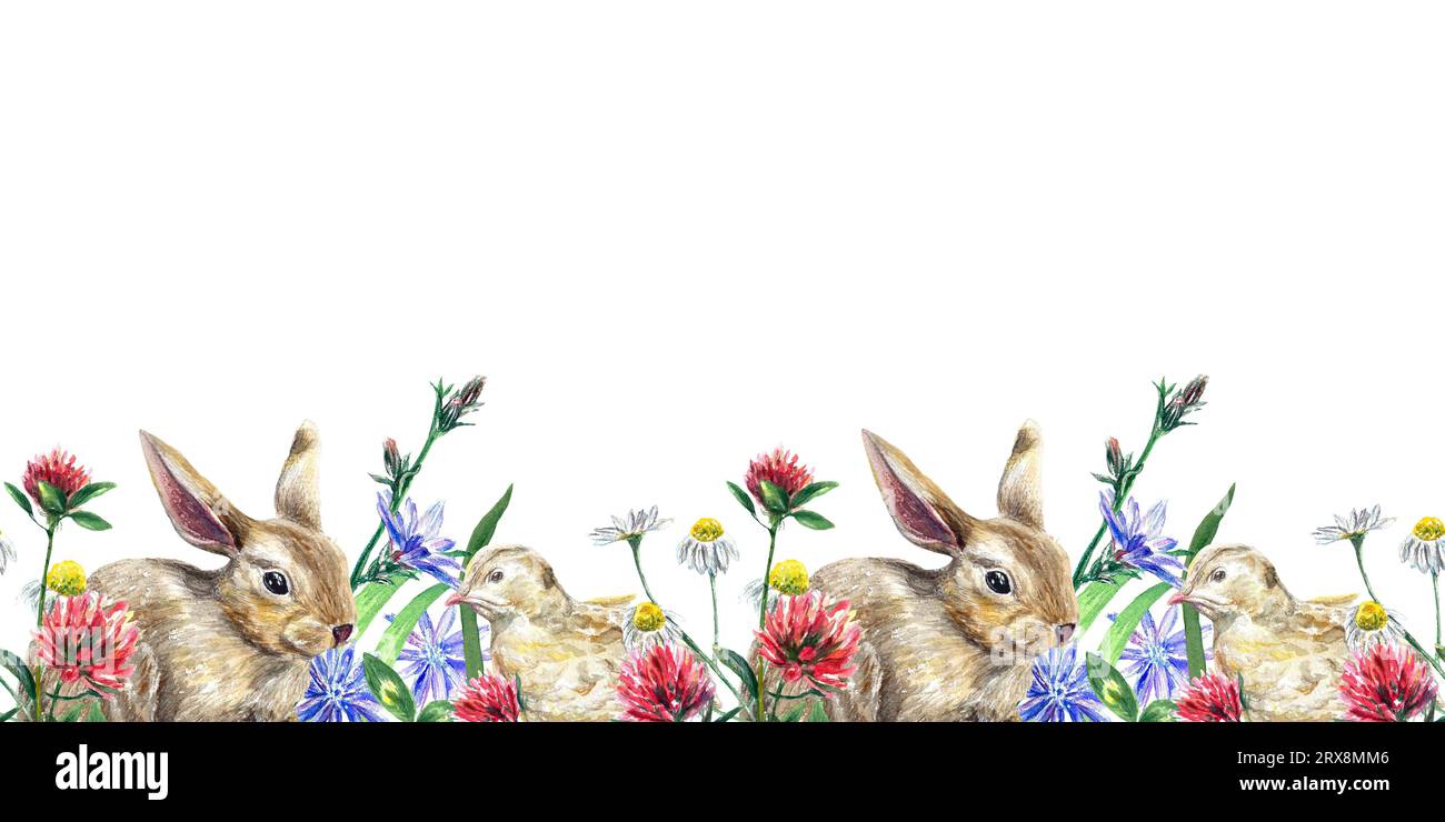 Rabbit border hi-res stock photography and images - Alamy