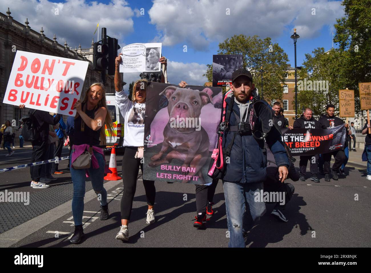 Banned dog breed hi-res stock photography and images - Alamy