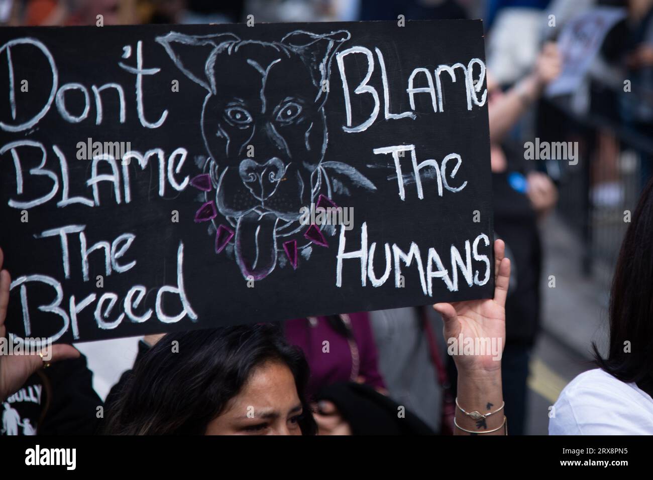 London, UK. 23rd Sep, 2023. A protestor holds a placard during the XL ...