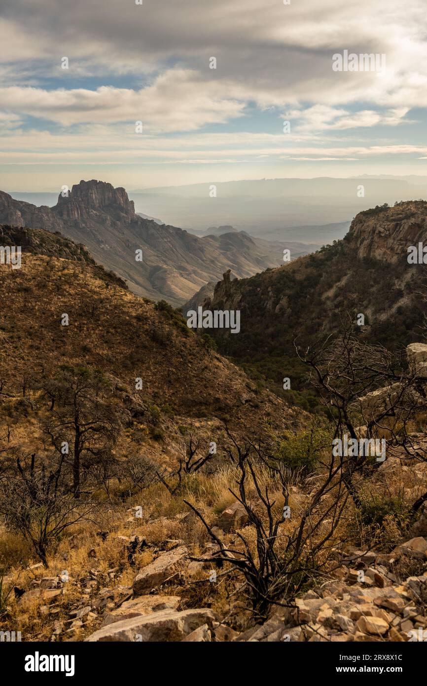 Forest Fire Damage Looks Over Casa Grande Peak In Big Bend National ...