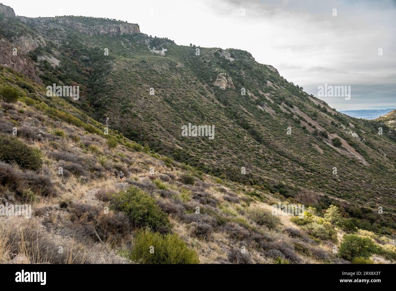 HIker Makes The Long Steep Climb Up Blue Creek Trail In Big Bend ...