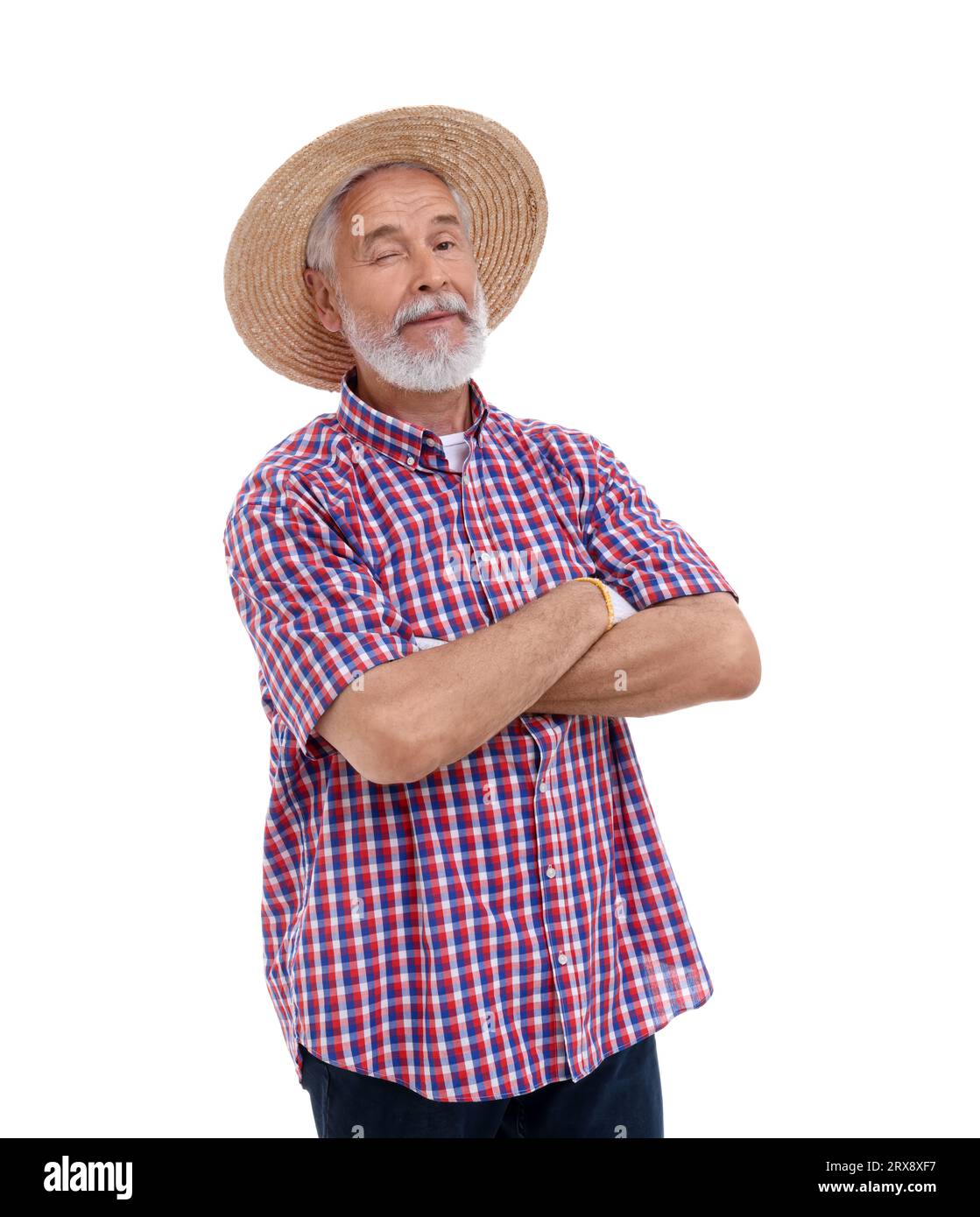 Harvesting season. Farmer with crossed arms winking on white background ...