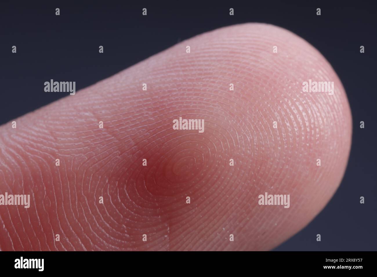 Finger with friction ridges on dark background, macro view Stock Photo ...