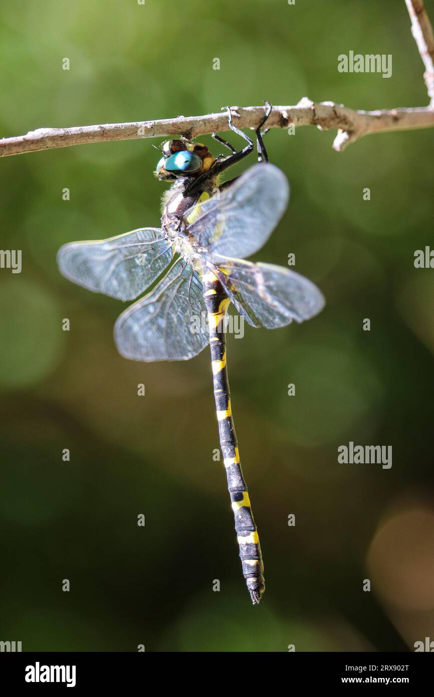 Trig creek hi-res stock photography and images - Alamy