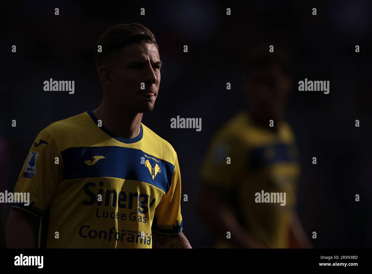 Suslov hi-res stock photography and images - Alamy